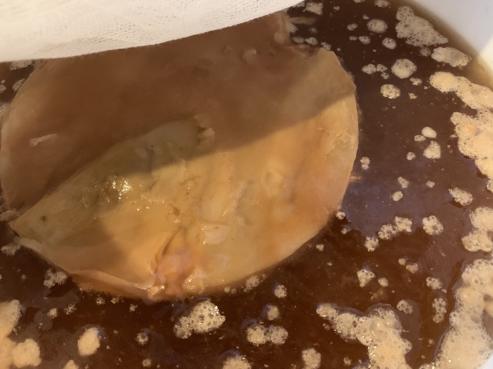 How to make Kombucha Leather – Chris Beckstrom